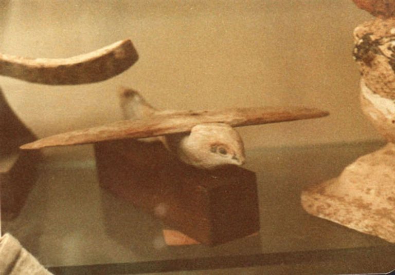 The Saqqara Bird: An Ancient Enigma - RarelyKnown